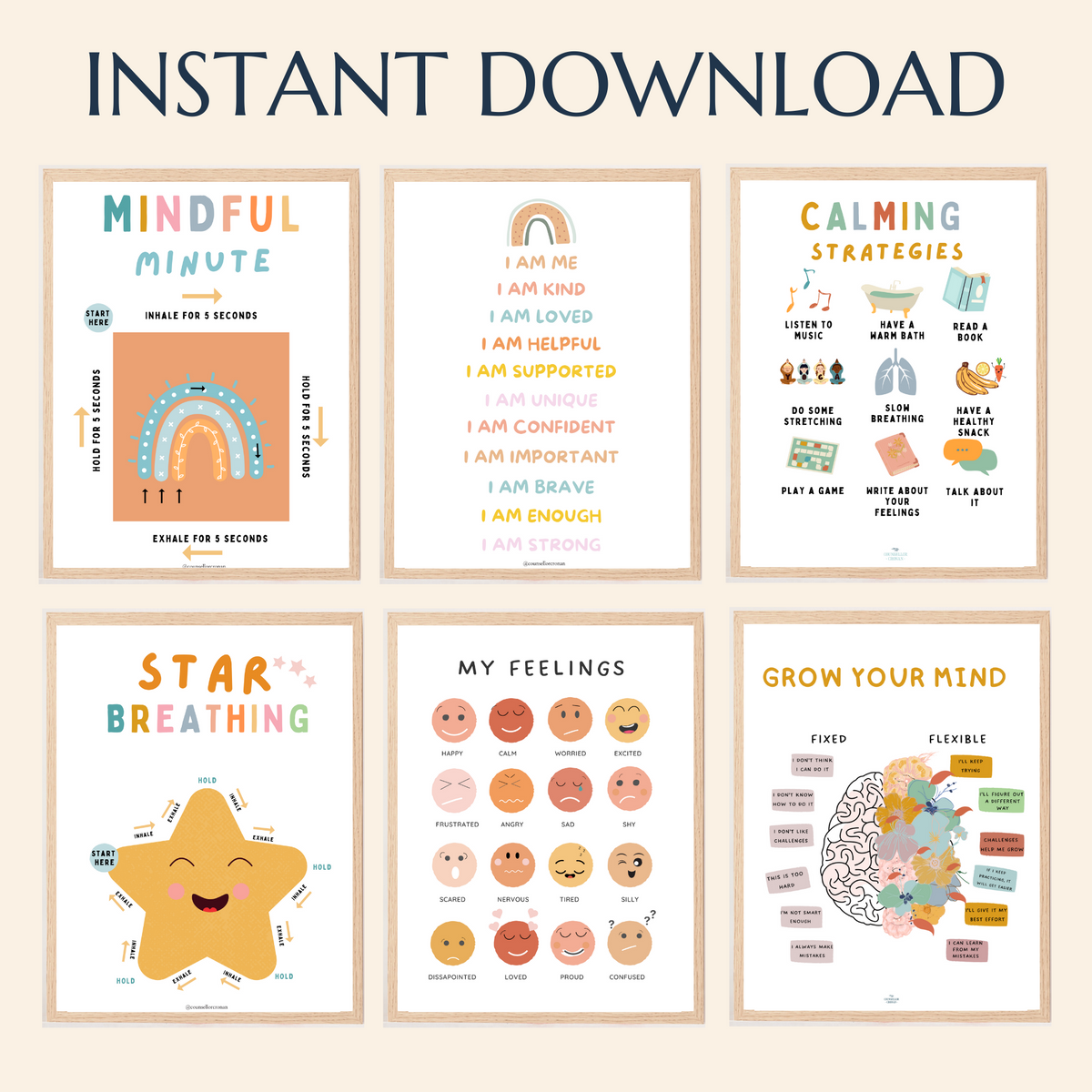 Set of 25 Social Emotional Regulation Posters – Counsellor Cronan