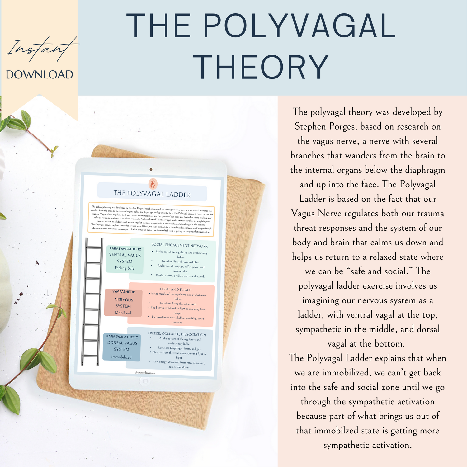 The Polyvagal Ladder Worksheets. – Counsellor Cronan