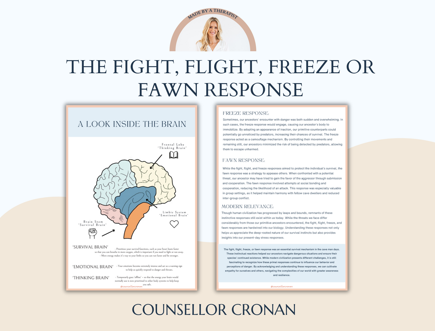 The Fight, Flight, Freeze or Fawn Response To The Brain, Brain Anatomy ...