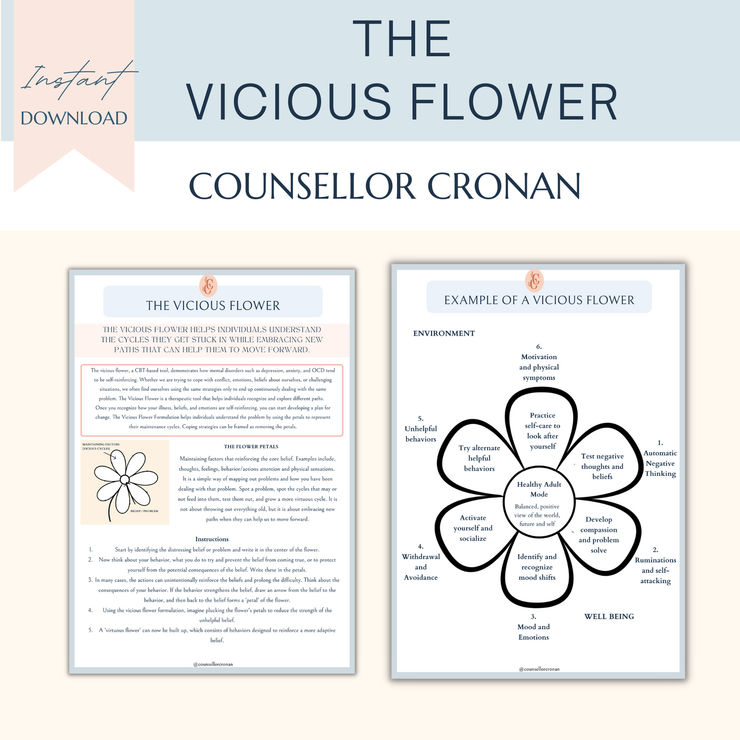 The Vicious Flower Formulation - CBT Worksheets – Counsellor Cronan